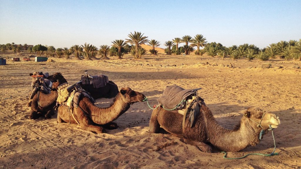 Travel in Morocco - Everything You Need To Know Before You Go